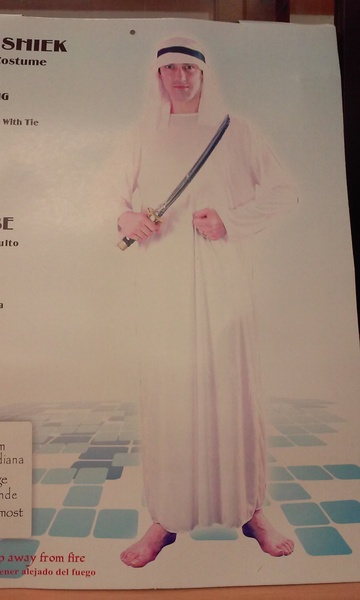 Arab Sheik Costume Pk 1 - Party Costumes - Shindigs.com.au