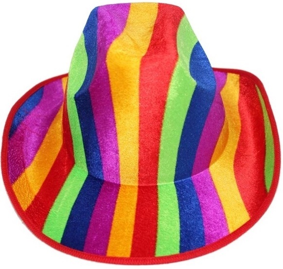 Rainbow Cowboy Hat - Costume Hats - Shindigs.com.au